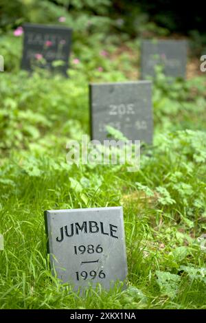 Cat - Gravestone of pet cat, ÔJumbleÕ in Pet Cemetery Stock Photo - Alamy
