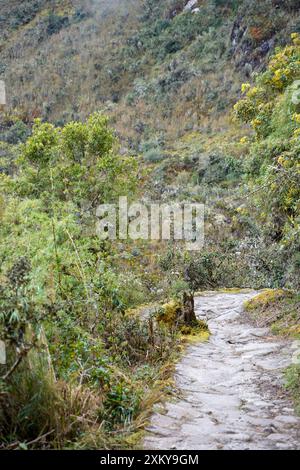 Stone Pathway of the Inka Trail, Cusco, Peru Stock Photo - Alamy
