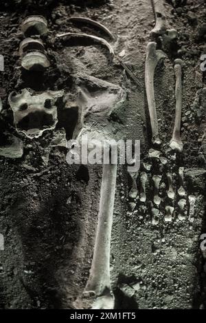 Skeleton in the burial ground in a crypt, Antigua, Guatemala, Central ...