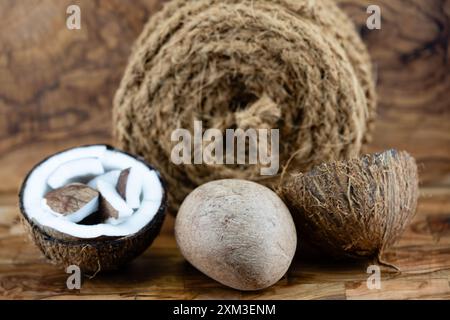 Copra dried pulp and ropes made from fibers of the coconut Cocos ...