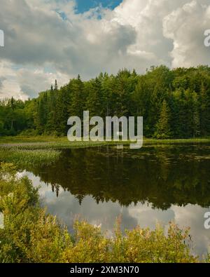 Lake Alma in the Adirondack Mountains, New York Stock Photo - Alamy