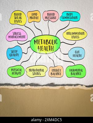 components and factors affecting metabolic health, infographics mind ...