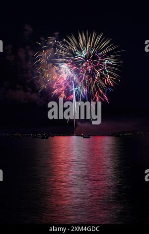 4TH OF JULY FIREWORKS OVER THE MINNESOTA STATE CAPITOL BUILDING IN ST ...