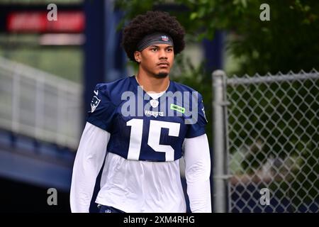 New England Patriots safety Marte Mapu (15) during the first half of an ...