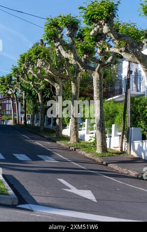 White houses and villas of Saint Jean de Luz town on Basque coast ...