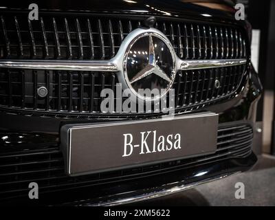 Picture of a licence plate customized for promoting a mercedes benz s ...