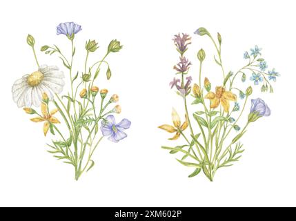 Bouquets floral botanical flower. Wild spring leaf wildflower isolated ...