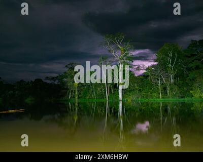 Amazon rainforest by night in the stormy weather, Amazonia. Peru, South ...