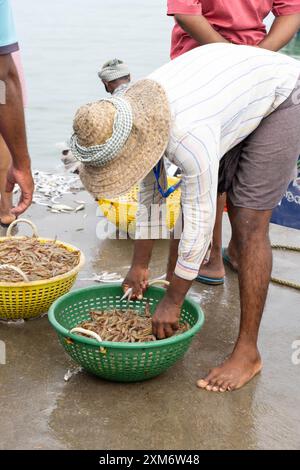 Tanur Fishing Harbor in Tanur Nagaram, the largest Harbor in Malappuram ...