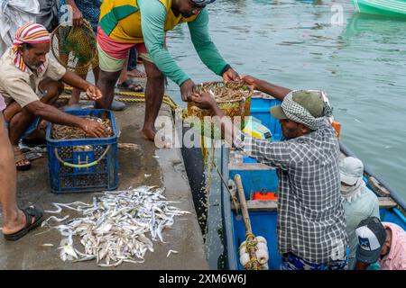 Tanur Fishing Harbor in Tanur Nagaram, the largest Harbor in Malappuram ...