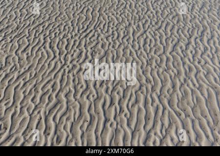 Ripple marks, structures in the mudflats, Wadden Sea National Park ...
