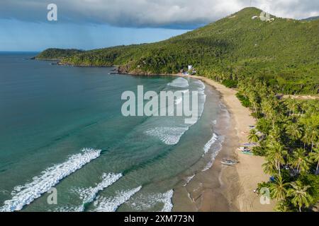 Aerial view of Nagtabon Beach with coconut trees, Bacungan, near Puerto ...