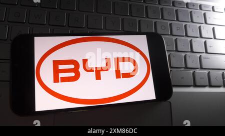 In this photo illustration, the BYD Automobile logo displayed on a ...