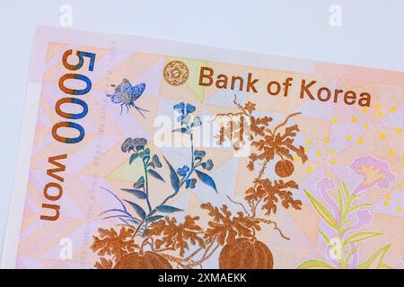 5000 South Korea won bank note. Won is the national currency of the ...
