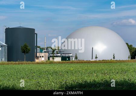 Biogas plant, large buffer storage for hot water for intermediate ...