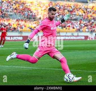 Adrian San Miguel of Real Betis warms up during the Spanish league ...