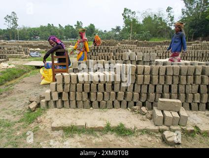 Bangladeshi brick field workers arranging bricks, Sylhet Division ...
