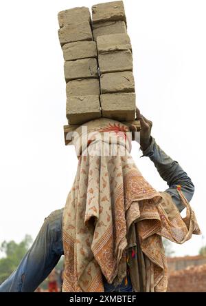 A bangladeshi man carries bricks on his head at a brick factory, Sylhet ...