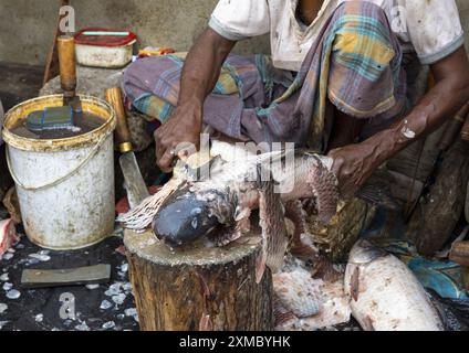 Bangladeshi man removing fish scales at fish market, Chittagong ...