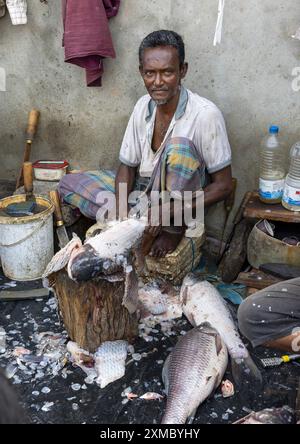 Bangladeshi man removing fish scales at fish market, Chittagong ...