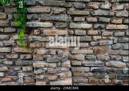 National Brick Day, National Couples Day, International Friendship Day ...