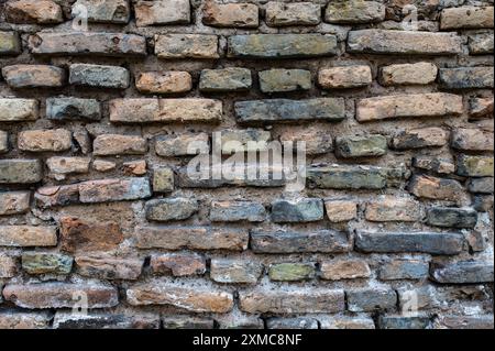 National Brick Day, National Couples Day, International Friendship Day ...