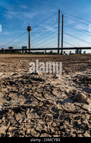 Rhine near Duesseldorf, extremely low water, Rhine level at 81 cm ...