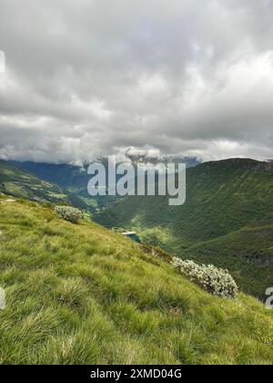 Green forest hills beneath cloudy sky in a natural landscape setting ...
