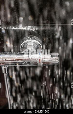 Shower, fitting, temperature control, temperature control of the shower ...