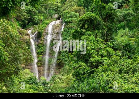 Aerial view of beautiful Himalayas Falls of Chitrey Tista Bazar ...