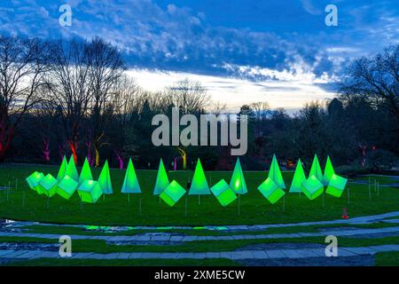 Parkleuchten, event in winter, in the Grugapark in Essen, many ...