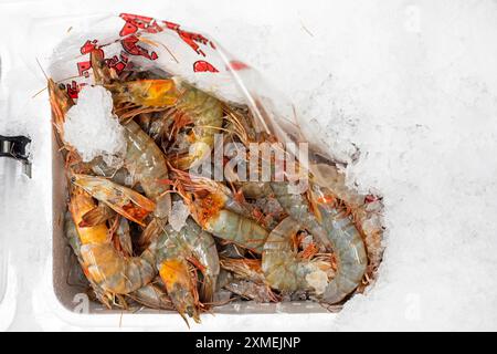fresh lobsters in a container on ice in a supermarket. Seafood Stock ...