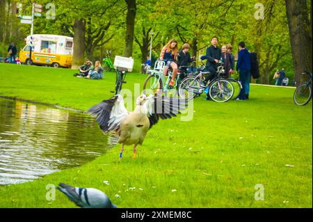 Absolutely! Here's your revised description Stock Photo - Alamy