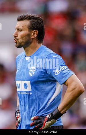 EINDHOVEN - Valencia CF goalkeeper Stole Dimitrievski during the ...