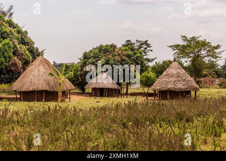 Village huts in Nyero, Uganda Stock Photo - Alamy