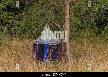 Tse tse fly trap in Ziwa Rhino Sanctuary, Uganda Stock Photo - Alamy