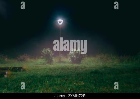 Moody scene with single park lamp at night with lush climbing plants ...