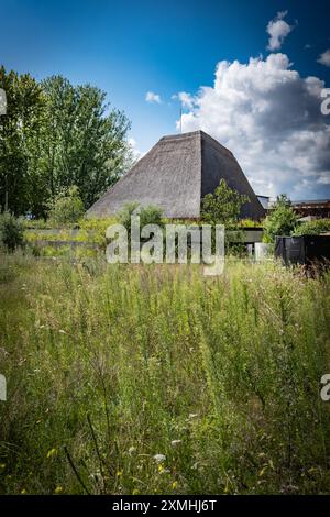 Berlin Lichtenberg OT Rummelsburg: Campus Flussbad, Areal mit Venue ...
