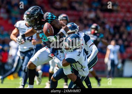 Sam Westfall (Milano Seamen #2) forced einen fummle von Malik Stanley ...