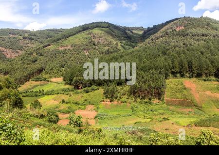 Lush landscape near Kabale, Uganda Stock Photo - Alamy