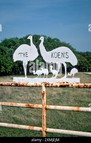 Ostrich images at wrought iron sign at ranch entrance, Hays County ...