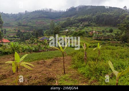 Landscape near Kabale town, Uganda Stock Photo - Alamy