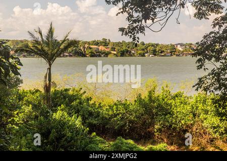 Lake Victoria viewed from Entebbe Botanical Gardens, Uganda Stock Photo ...