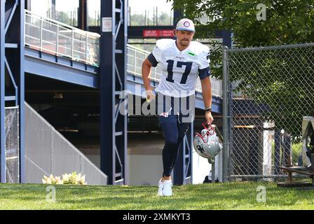 New England Patriots punter Bryce Baringer (17) looks for Minnesota ...