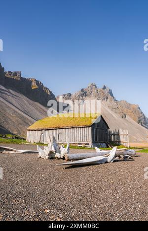 Traditional Icelandic Turf House with Whale Bones and Rugged Mountains ...
