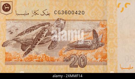20 ringgit cash banknote from Bank Negara Malaysia features hibiscus ...