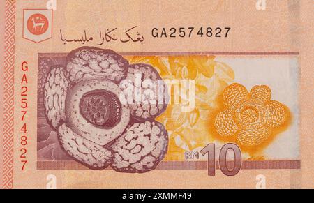 The RM10 note features rafflesia parasitic flowering plants on the back ...