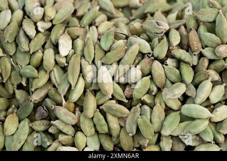 Cardamom Popular Asian Indian Spice Stock Photo - Alamy