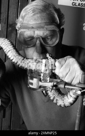 Jack Corney, director of the Isle of Wight Zoo in Sandown, milking a ...