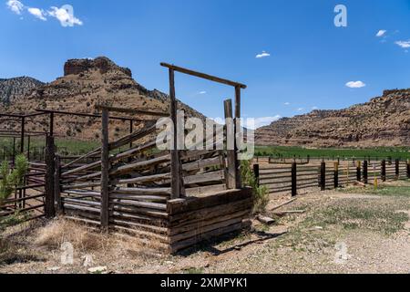 A cattle loading chute and corrals on a ranch at the mouth of Daddy ...
